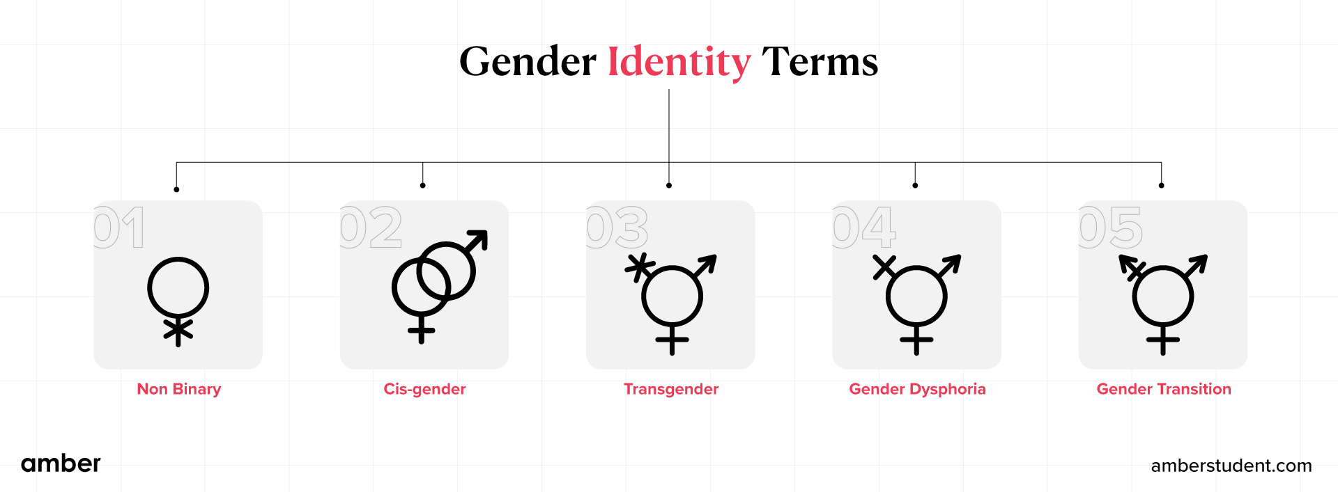 Understanding Gender Identity: A Beginner's Guide for LGBTQ | Amber